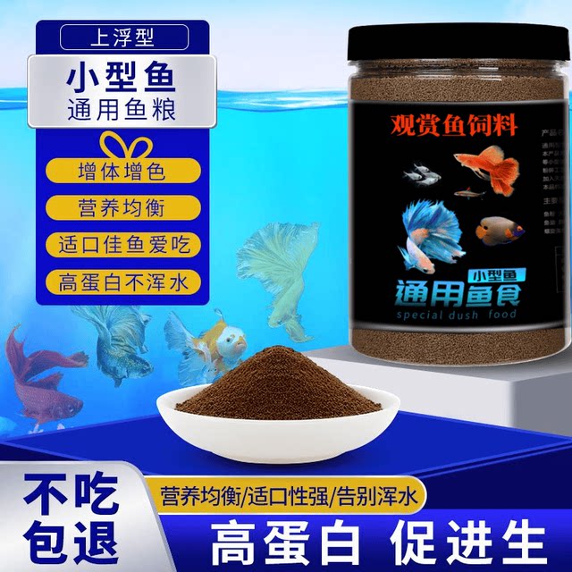 Zebrafish fish feed fish feed small fish eating betta goldfish ...