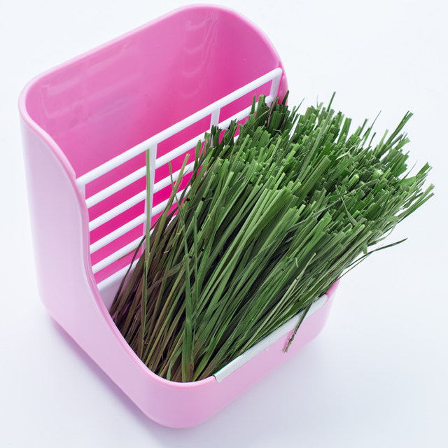 25 years of freshly dried Timothy grass section North tizu rabbit hay ...