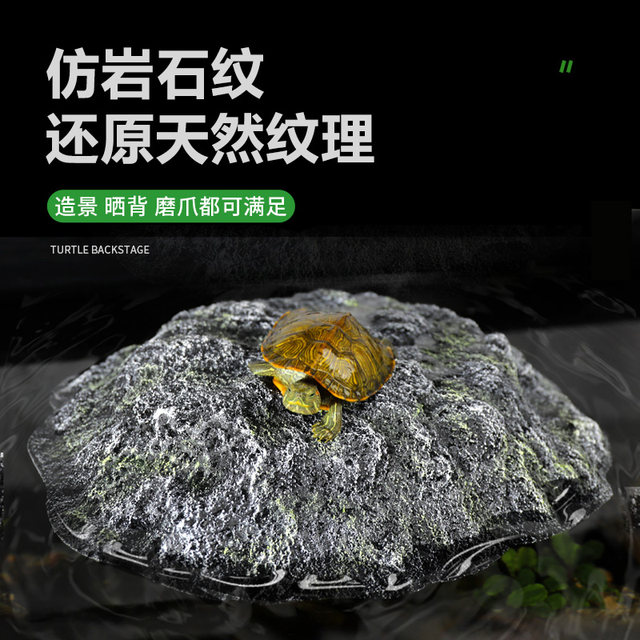 Turtle sunbathing platform, deep water floating platform, Brazilian ...