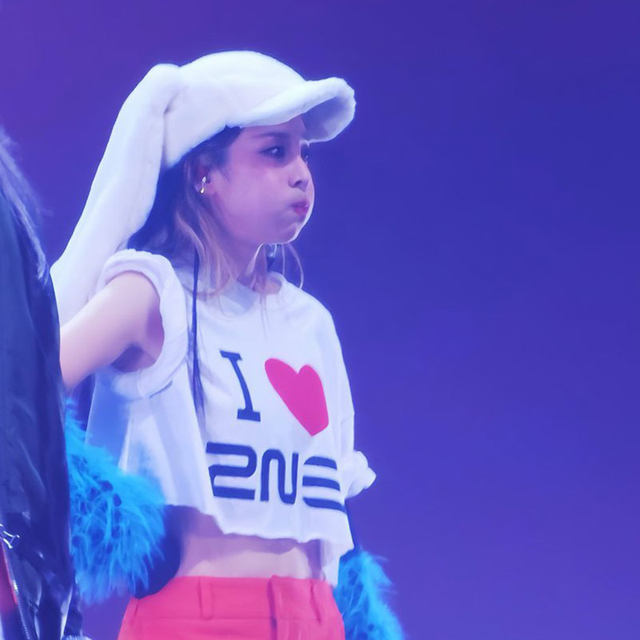 2NE1 Return Concert Peripherals Lee Cailin Park Shan Dora Chun Kong Min ...