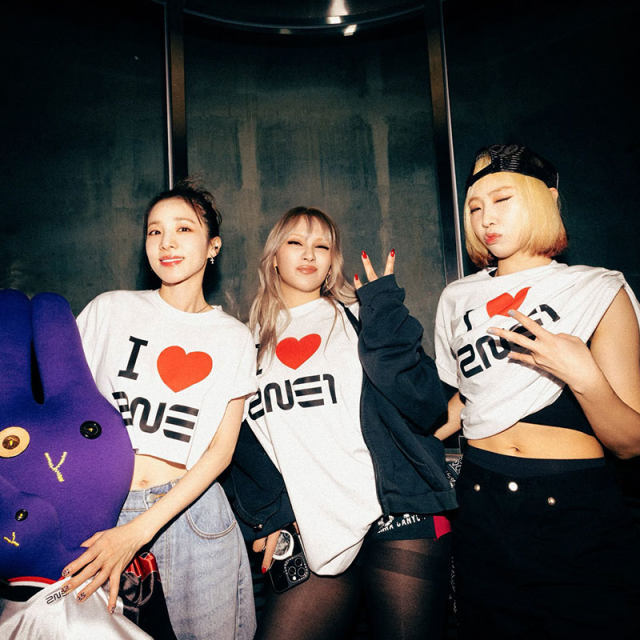 2NE1 Return Concert Peripherals Lee Cailin Park Shan Dora Chun Kong Min ...