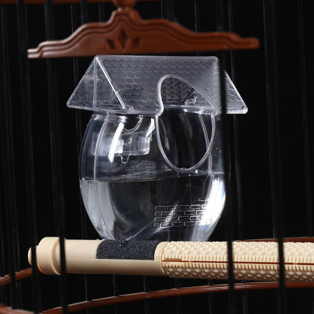 The new bird uses anti -Sprinkling bird food box to paint eyebrows ...