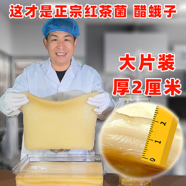 2 cm thick authentic kombucha enzyme mother strain Haibaowei Baomu ...