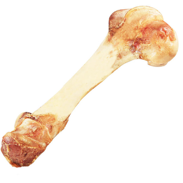 Dog bones grinding teeth big stick bone golden retriever Erha large and ...