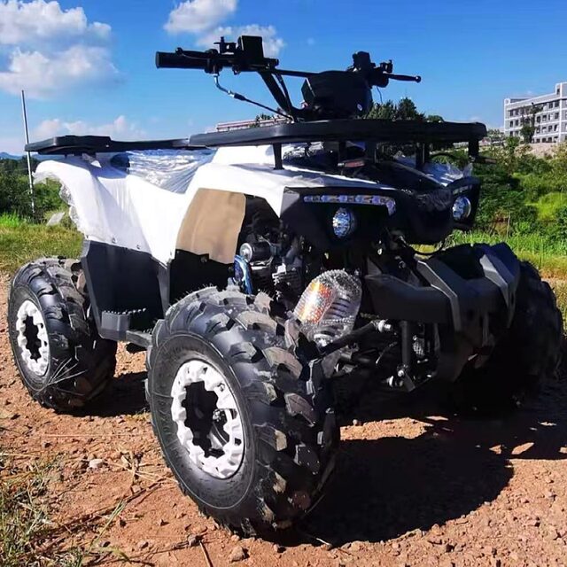 God of War electric ATV 48V 1000WATV all-terrain mountain off-road ...
