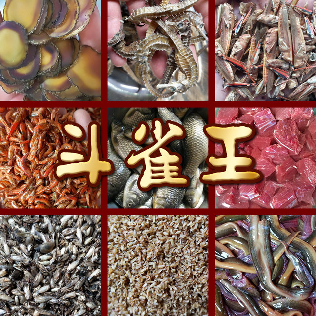 Fighting King, enhance the fat and fat feed, colored feed, hand-made ...