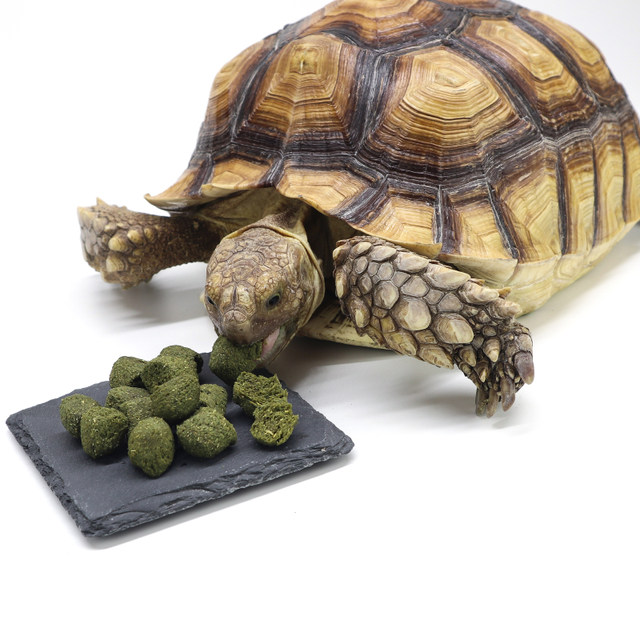 Yige to turtle grain, high calcium grain Suta Kada turtle feed ...