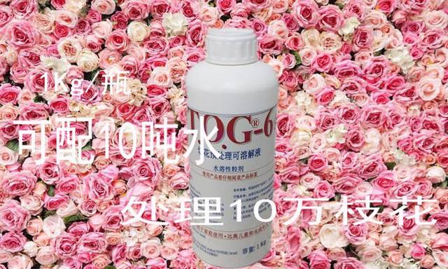 Israel imported flower life flower preservative flower awakening agent ...