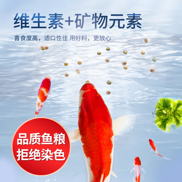 Fish and grain small fish -type freshwater fish granules -type feed ...