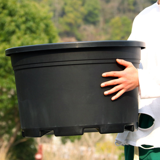 Extra large flower pot, large diameter black currant potted flower pot ...