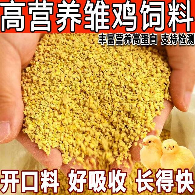 Chicken duck eggs, chickens, chicken feed nutritional fattening small ...