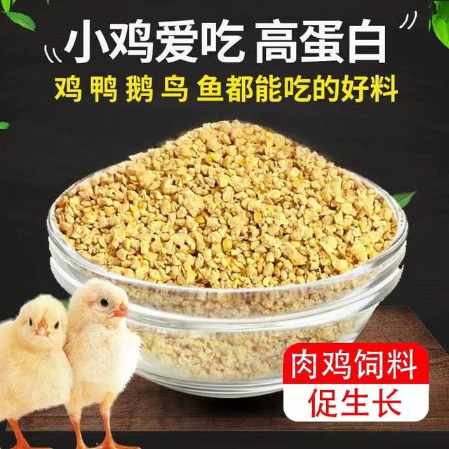 Chicken duck eggs, chickens, chicken feed nutritional fattening small ...