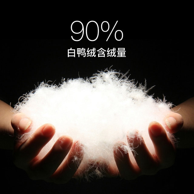 Septwolves Short Down Jacket Men's Winter New Men's Woven Stand Collar ...