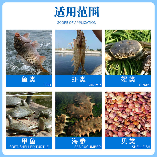 Shrimp greenin solution Aquaculture marine red yeast South whitening ...