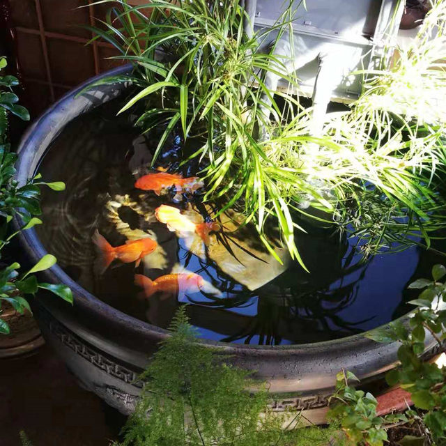 Tile tank fish raising old Beijing fish basin super large ceramic fish ...