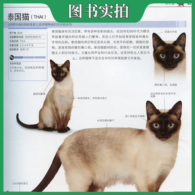 Set 2 Bentes of Cat Family Medicine Encyclopedia New Revised Edition DK ...