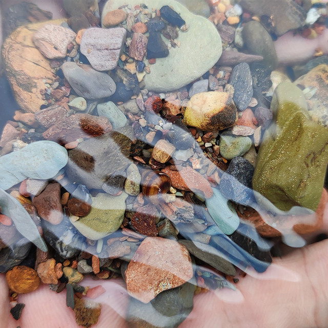 Original fish turtle tank sand stream sand thunder dragon fish grass ...