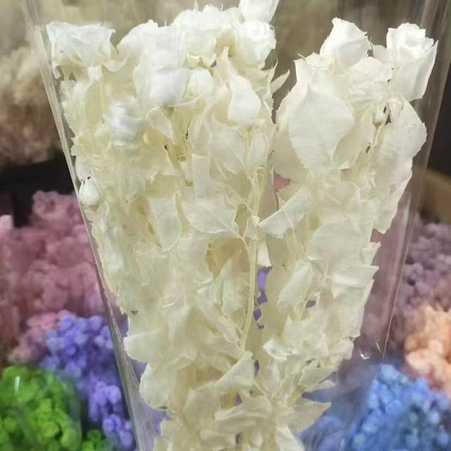 Preserved flower multi-headed bubble multi-headed rose multi-headed ...