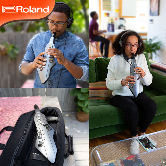 Roland electric hair tube AE01 electronic black wind instrument AE-01C ...