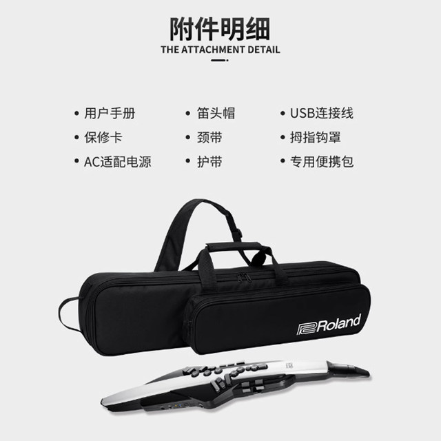 Roland Roland electric blower instrument AE20 elderly entertainment ...