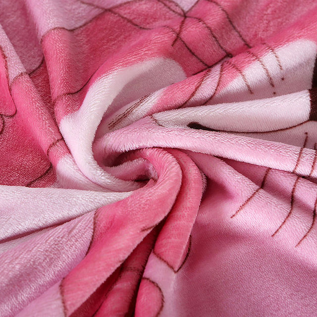 Winter coral velvet plus velvet sheets, fleece blankets, single-piece ...