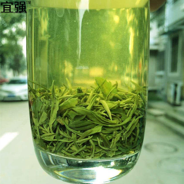 2025 New Tea Hubei Yichang Sanxia Wufeng Mountain Bulk Maojian Fried ...