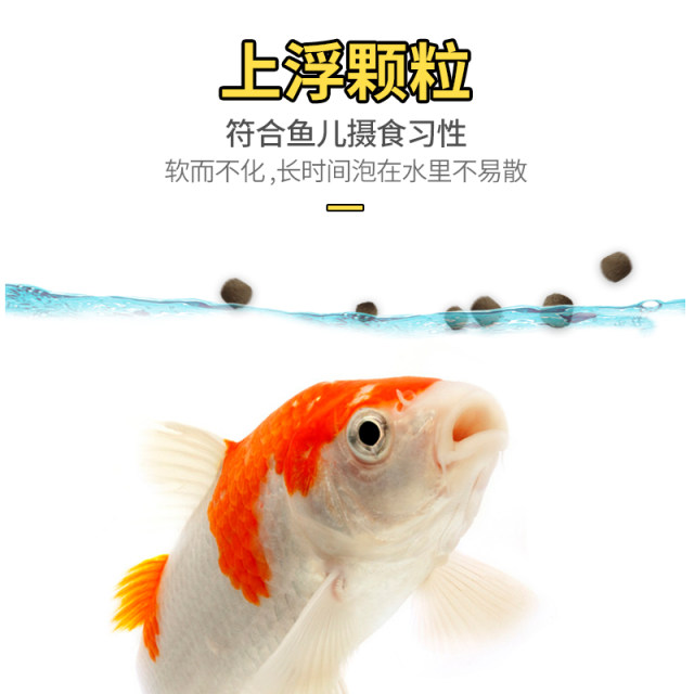 Unified body-enhancing sinking and floating fish feed 10kg 20kg ...