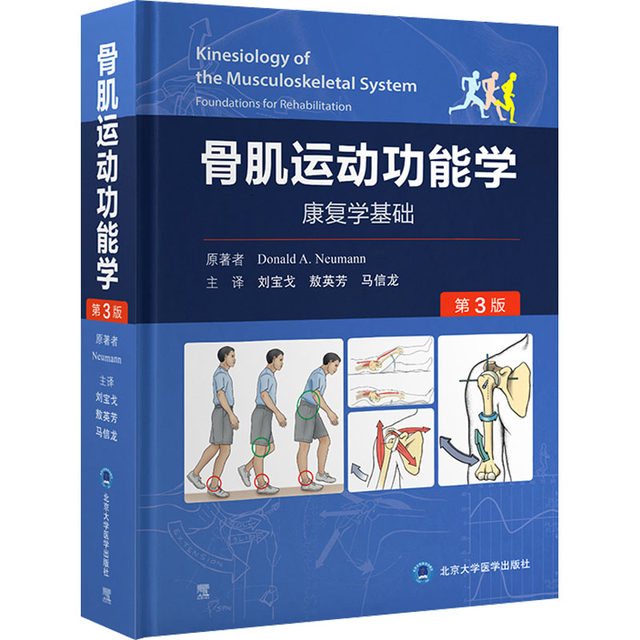 Musculoskeletal Kinesiology Basics of Rehabilitation 3rd Edition Human ...