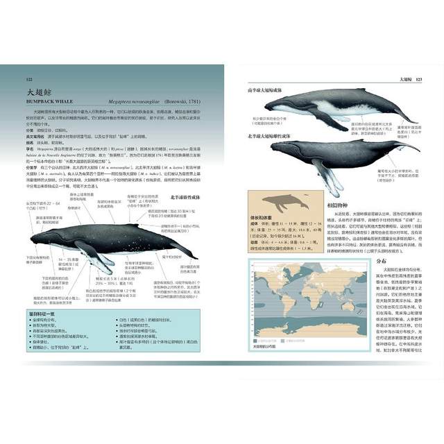 Encyclopedia of Cetaceans. Whales, dolphins and porpoises in the world ...