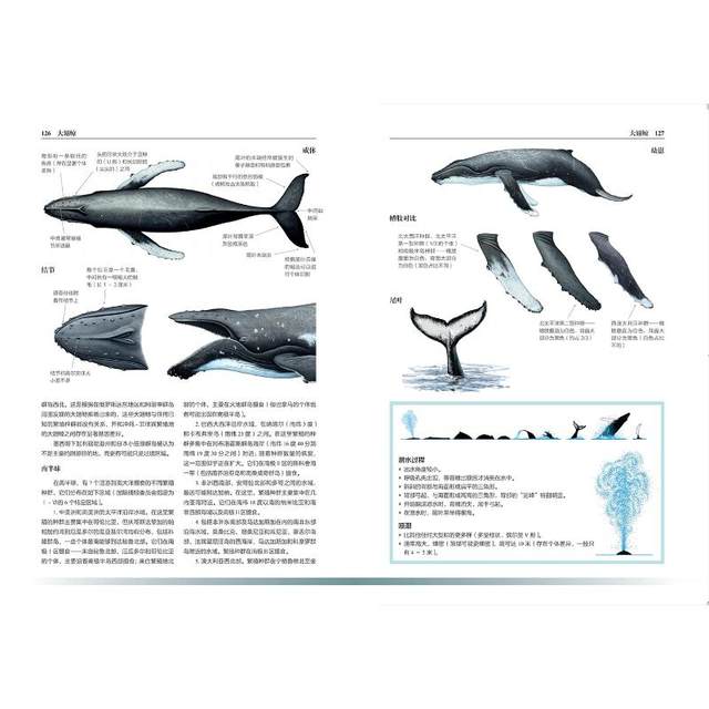 Encyclopedia of Cetaceans. Whales, dolphins and porpoises in the world ...