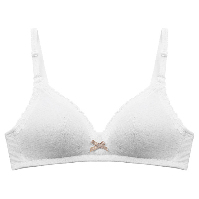 Japanese girl lace bra without steel ring push-up shaping underwear ...