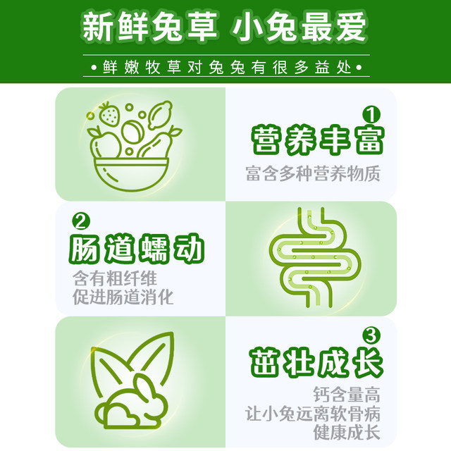 Alfalfa rabbit food, purple flower hay, baby rabbit food, guinea pig ...