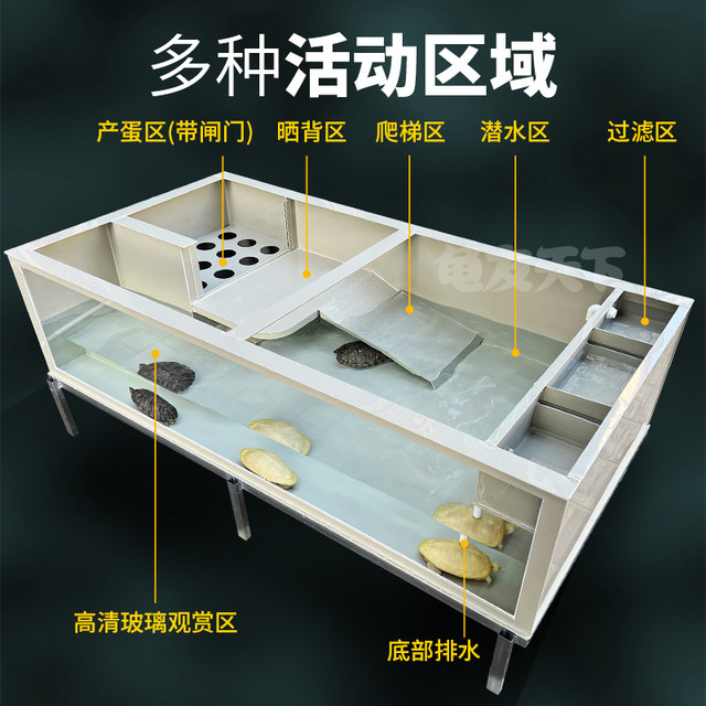 Egg turtle transparent turtle cylinder glass PP plastic turtle turtle ...