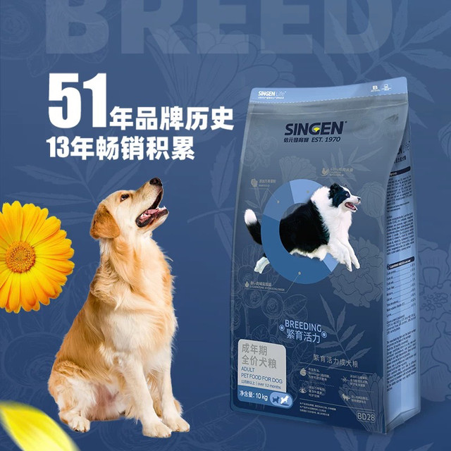 Taiwan Development Bao adult dog breeding line 10kg BD28 Teddy Golden ...