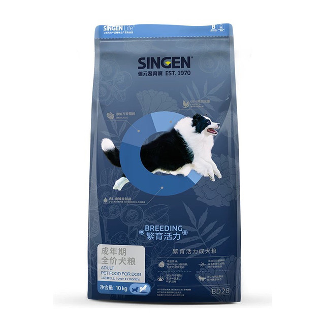 Taiwan Development Bao adult dog breeding line 10kg BD28 Teddy Golden ...