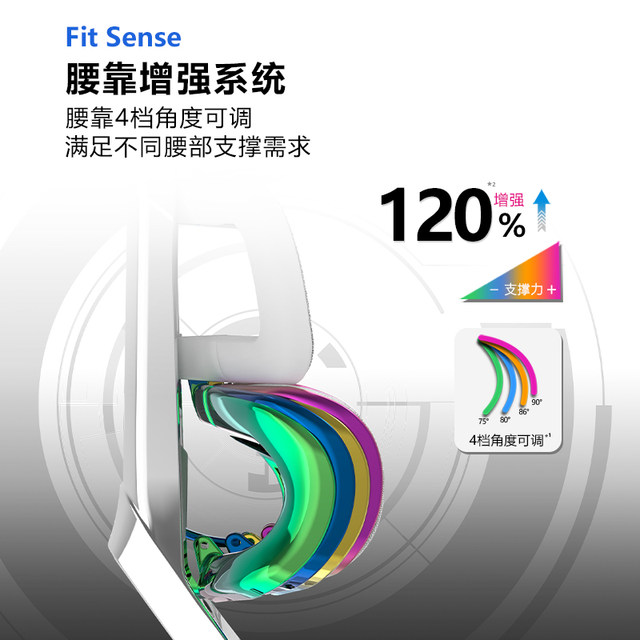 Ergomax Evolution 2+Gaomax Sponge Seat Computer Chair Ergonomic Chair E ...