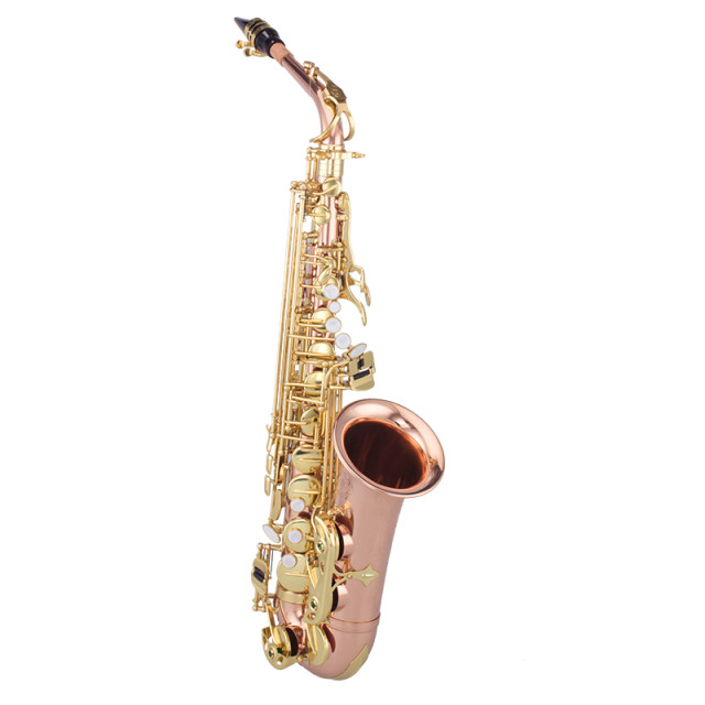 Taishan alto saxophone instrument TSAS-2000 phosphor bronze saxophone ...