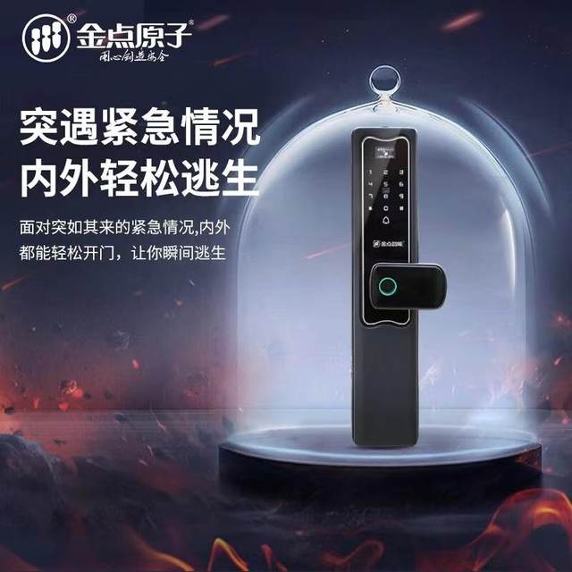 Gold Dot Atom Old-style Anti-theft Door Lock Fingerprint Lock Password ...