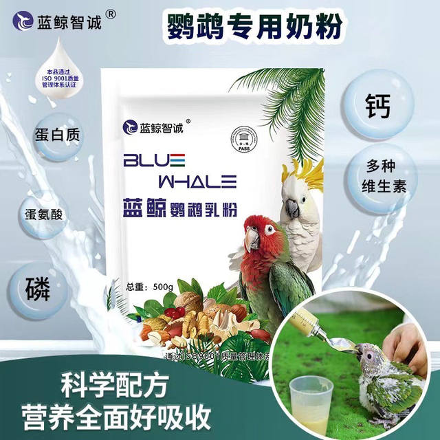 Blue whale milk powder parrot baby bird tiger skin peony small sun ...