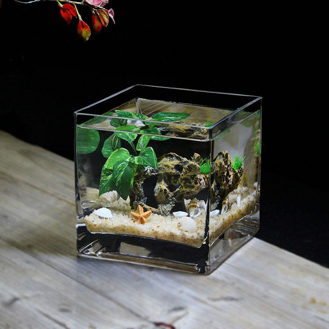 Douyu tank square glass fish tank square cylinder hydroponic utensil ...