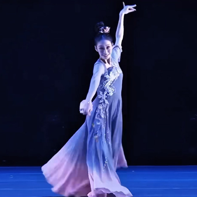 Taoli Cup classical dance performance costume women's slim branches ...