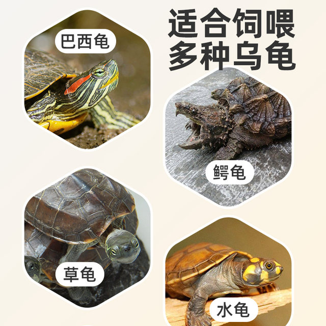 Turtle food, shrimp, dried freshwater fish, Brazilian tortoise ...