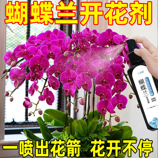 Phalaenopsis special fertilizer orchid nutrient solution oncidium and ...