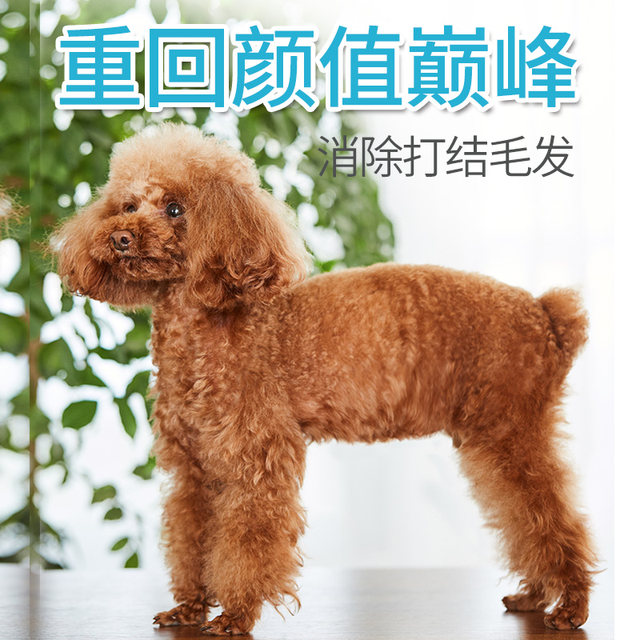 Knot comb long hair comb artifact dog comb special cat Bichon pet ...
