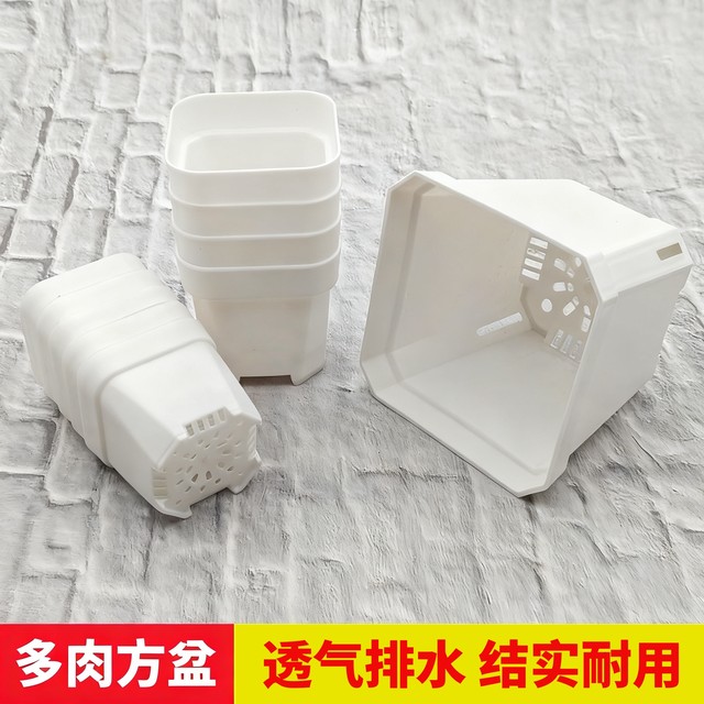 Succulent octagonal flower pot white creative succulent pot mini pot ...