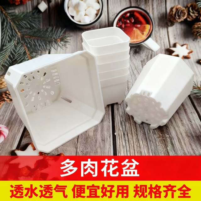 Succulent octagonal flower pot white creative succulent pot mini pot ...