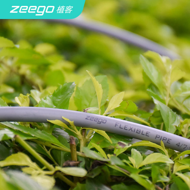 ZeeGo 6493 Capillary 47 atomization nozzle micro -sprayer drip ...