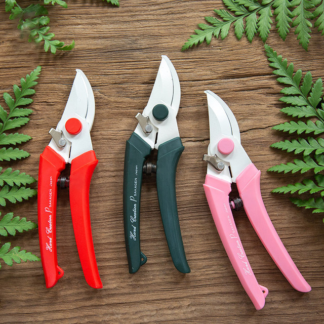 Sakura Flower Scissors Cutting Tool Tools Japanese Little Plusal Flower ...
