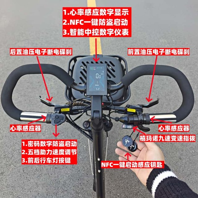 ZX200 power-assisted bicycle variable speed long-distance travel ...