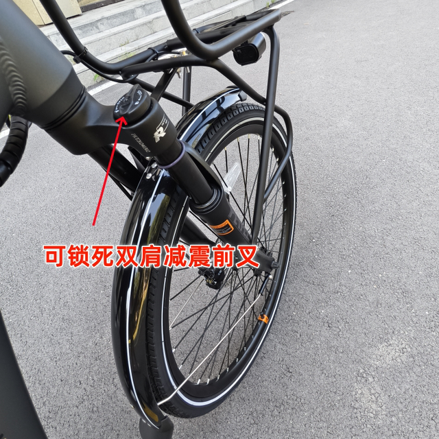 ZX200 power-assisted bicycle variable speed long-distance travel ...